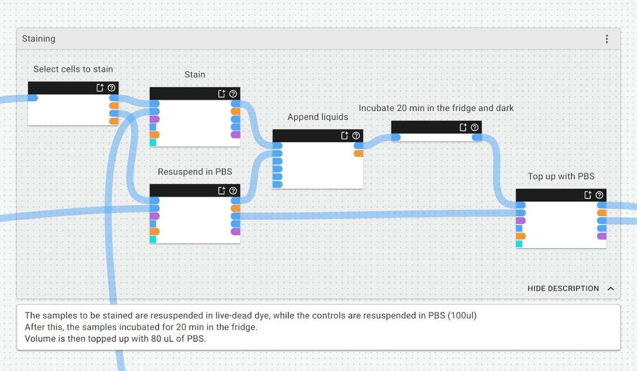 How we plan, run, and record experiments: a transfection example