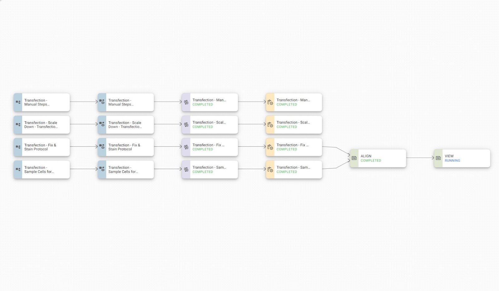 How we plan, run, and record experiments: a transfection example
