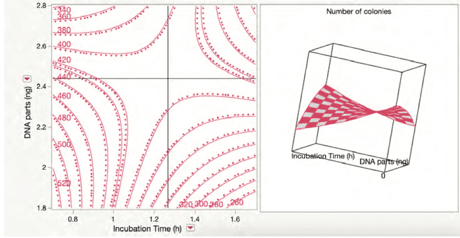 Why Design of Experiments (DOE) Is Important for Biologists