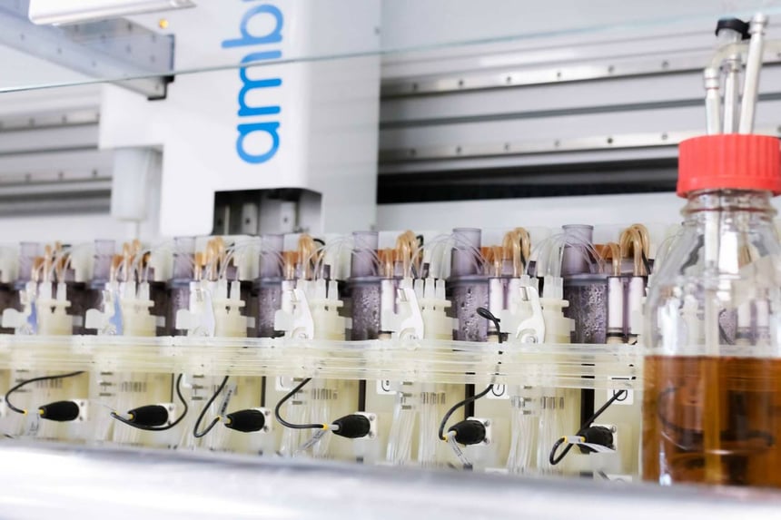 How Sampling From Bioreactors Are Shifting To Rapid Automation - Synthace
